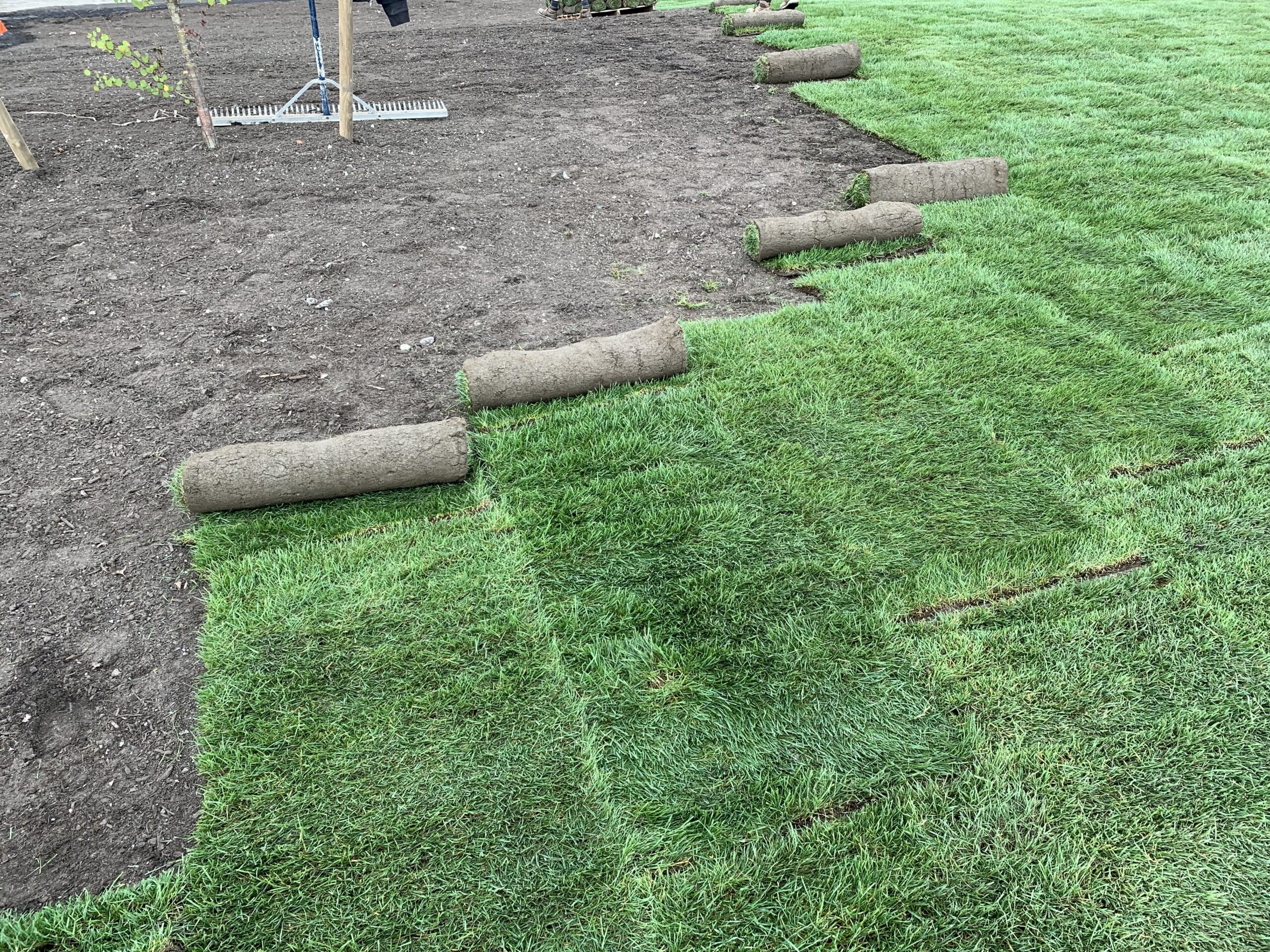 New Sod Installation Projects - BC Instant Lawns - BC INSTANT LAWNS ...