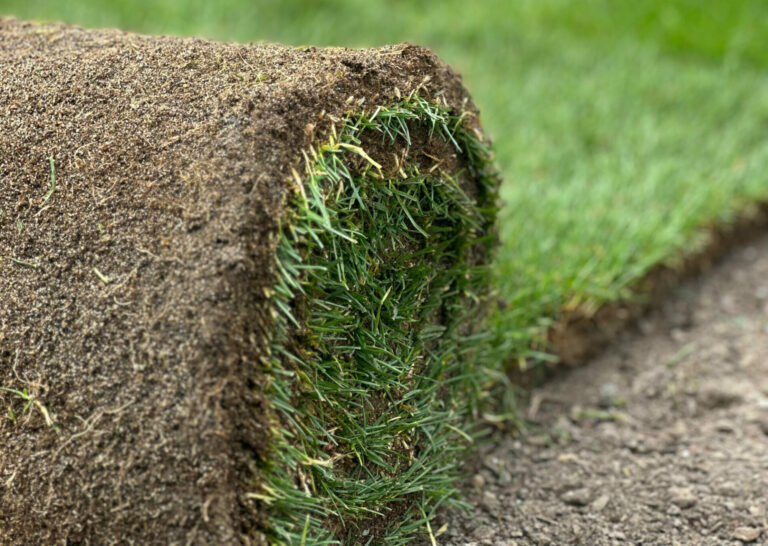 What is the size and weight of a sod roll? - BC INSTANT LAWNS & LANDSCAPES